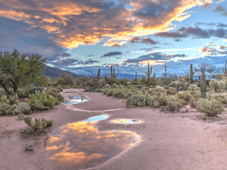 Better Earth - Go Solar to Create a Better Earth